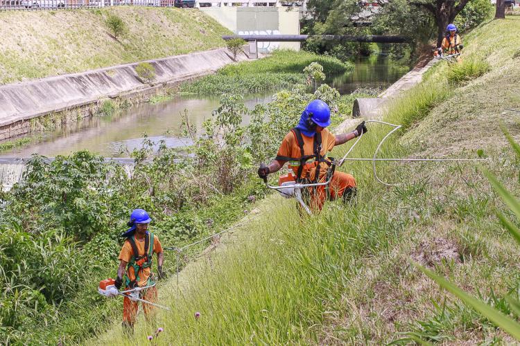 Linha de Vida Talude - Atlas Safe Linha de Vida Talude